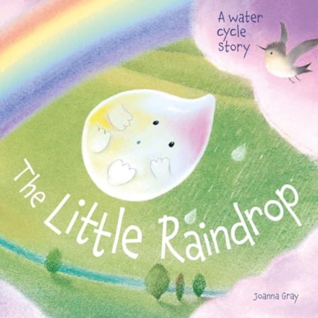 The Little Raindrop - A water cycle story - Bags of Books